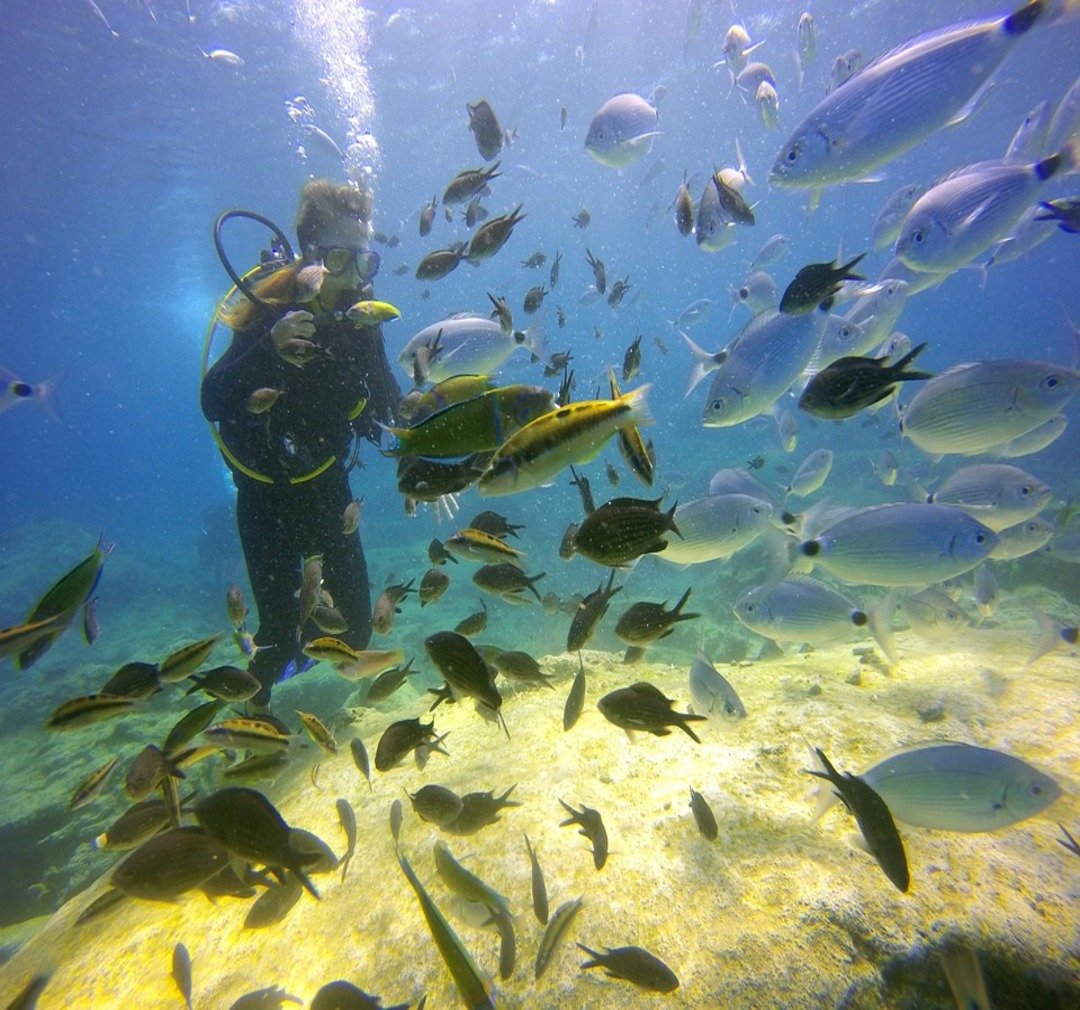 Scuba Diving - Water Sports Activities in Goa [Island Tours]